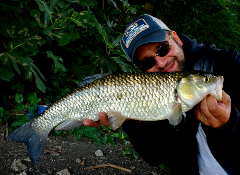 La ''Dual Booster'' et les chubs